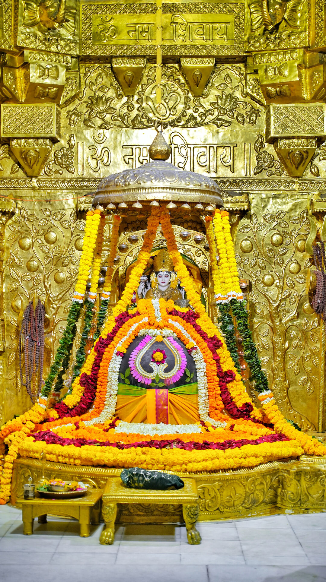 Jay Somnath | Somnath.org